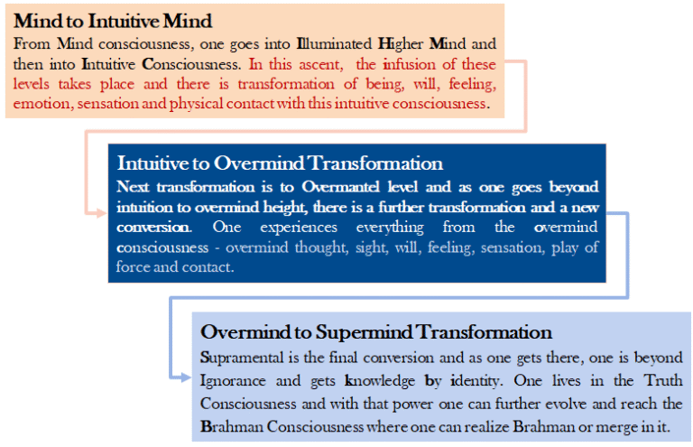 Transformation of Consciousness - Int Yoga